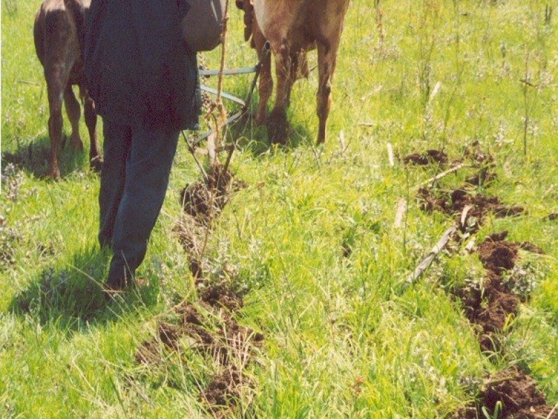 Introduction to soil conservation measures | Infonet Biovision Home.