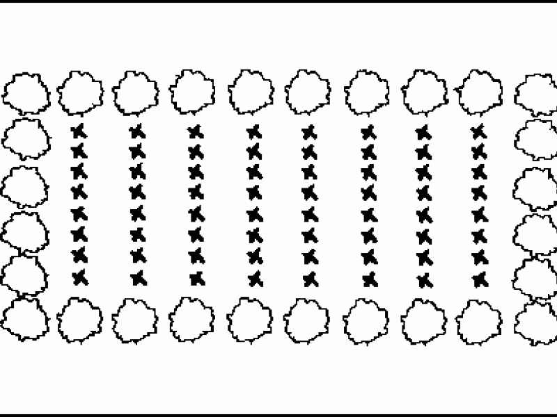 Agroforestry | Infonet Biovision Home.