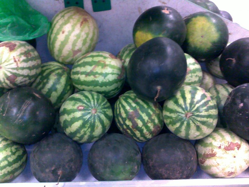 Watermelon | Infonet Biovision Home.